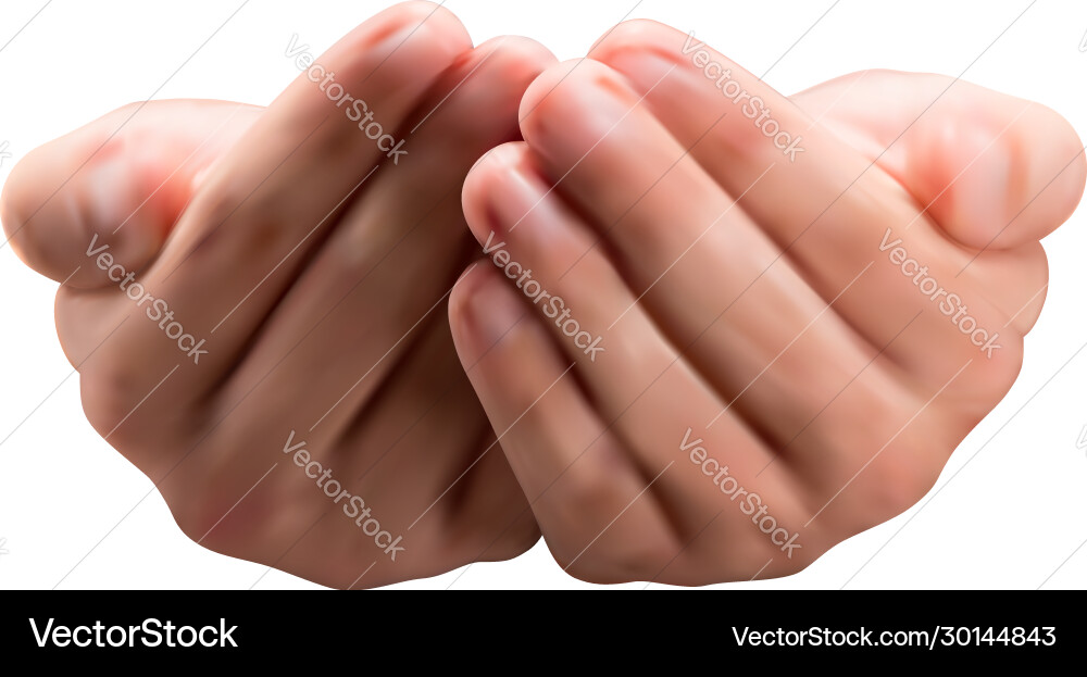 Realistic hands isolated Royalty Free Vector Image