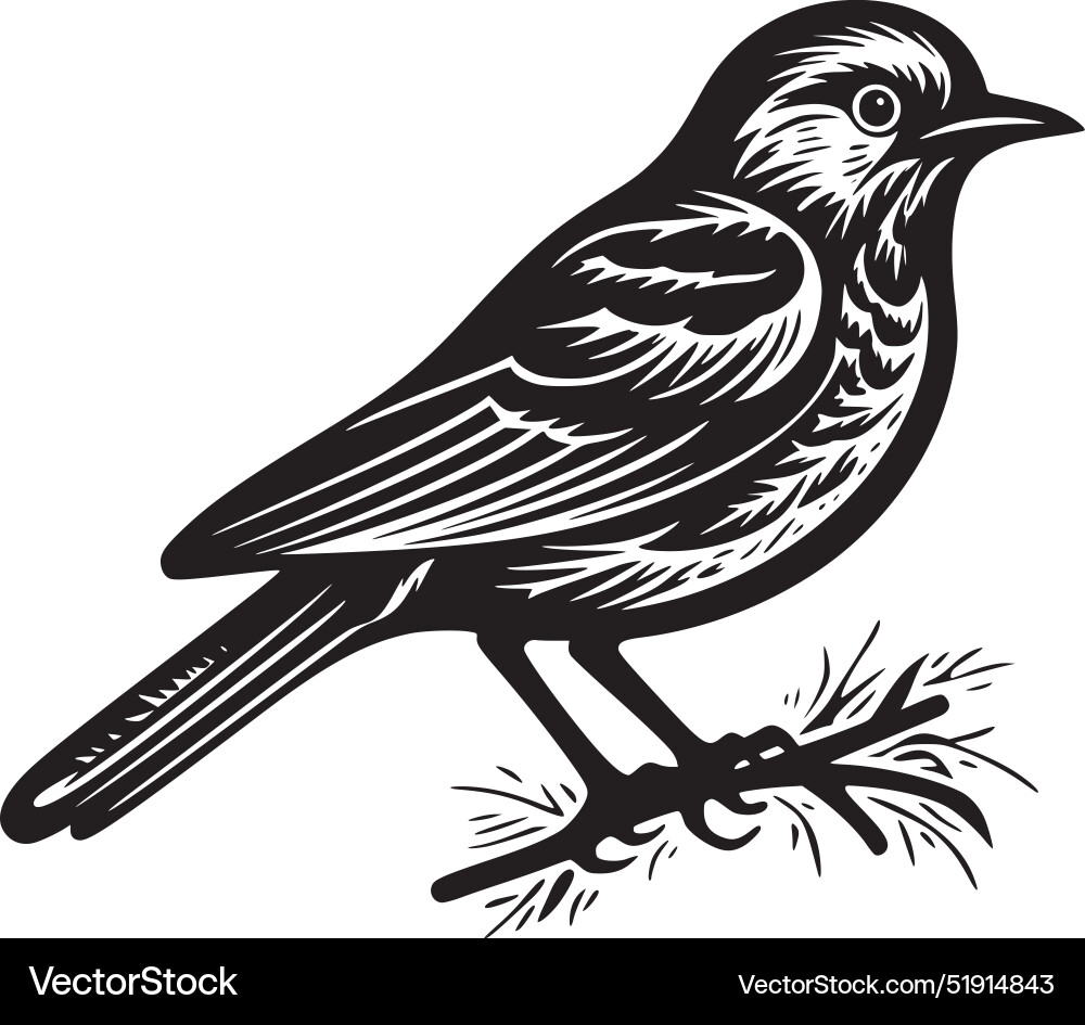 Sparrow - minimalist and simple silhouette Vector Image