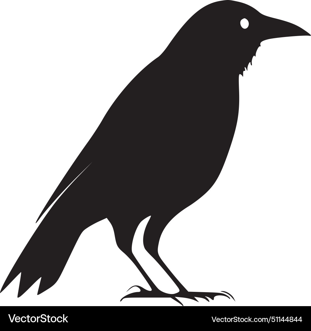 Crow - high quality logo - ideal for t-shirt Vector Image