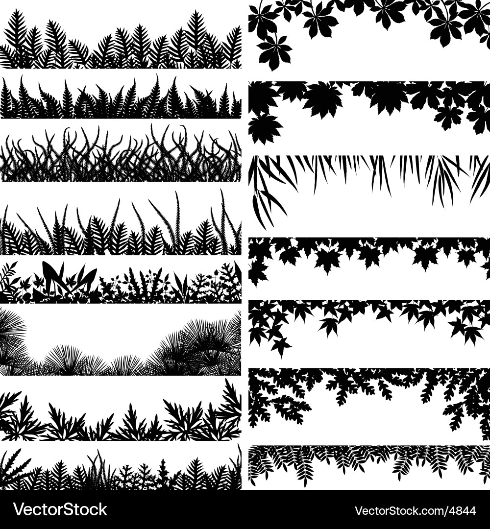 Maple Leaf Border Collection Royalty Free Vector Image