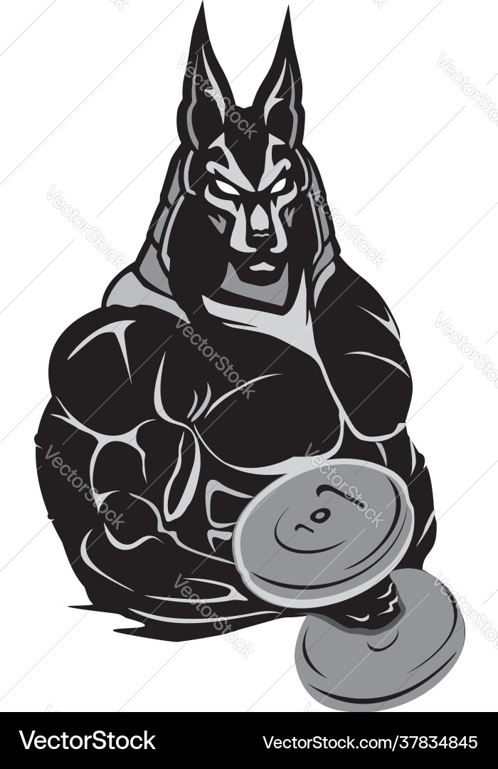 Bodybuilder anubis Royalty Free Vector Image - VectorStock