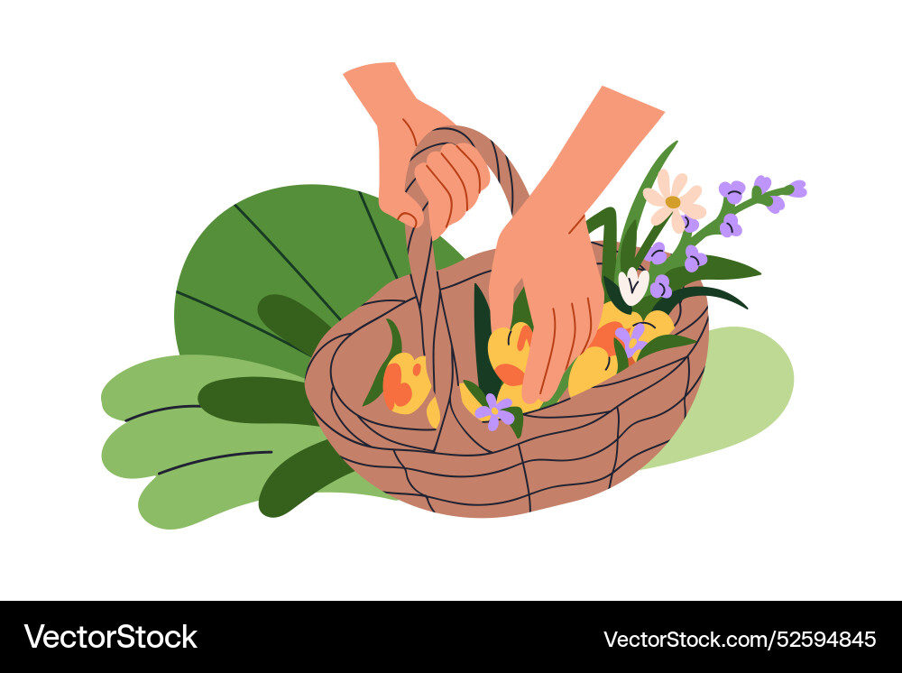 Hands holding basket with fresh fruits and field Vector Image