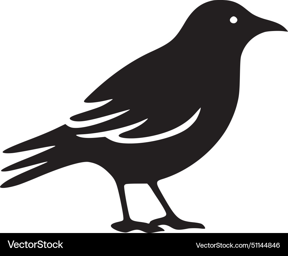 Crow - high quality logo - ideal for t-shirt Vector Image