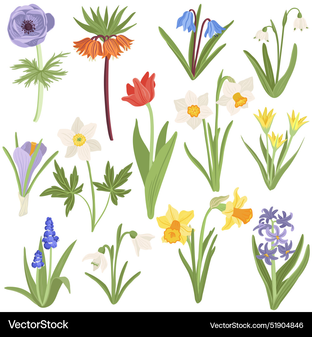 Drawing wild spring flowers Royalty Free Vector Image