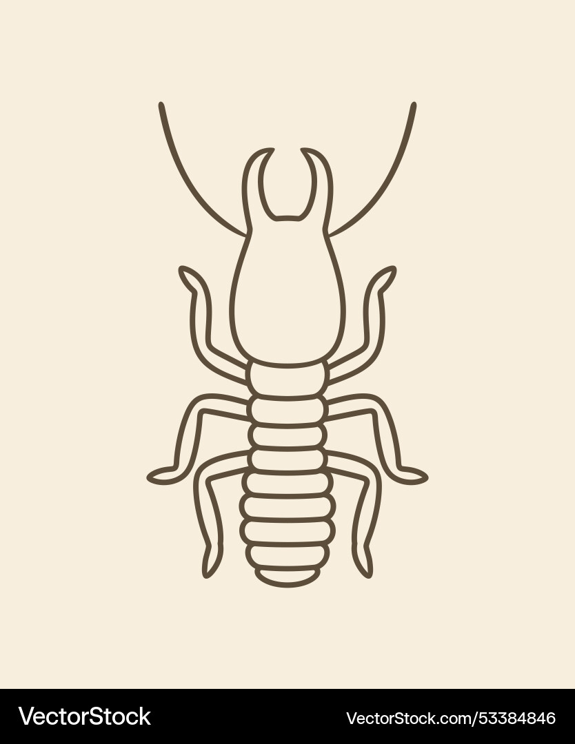 Termite Royalty Free Vector Image - VectorStock