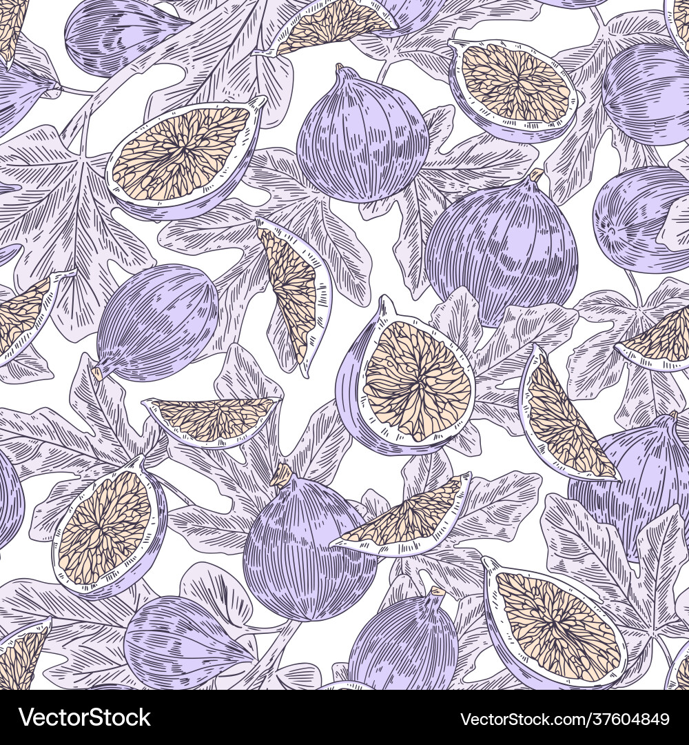 Seamless pattern with tropical fresh fig fruits Vector Image