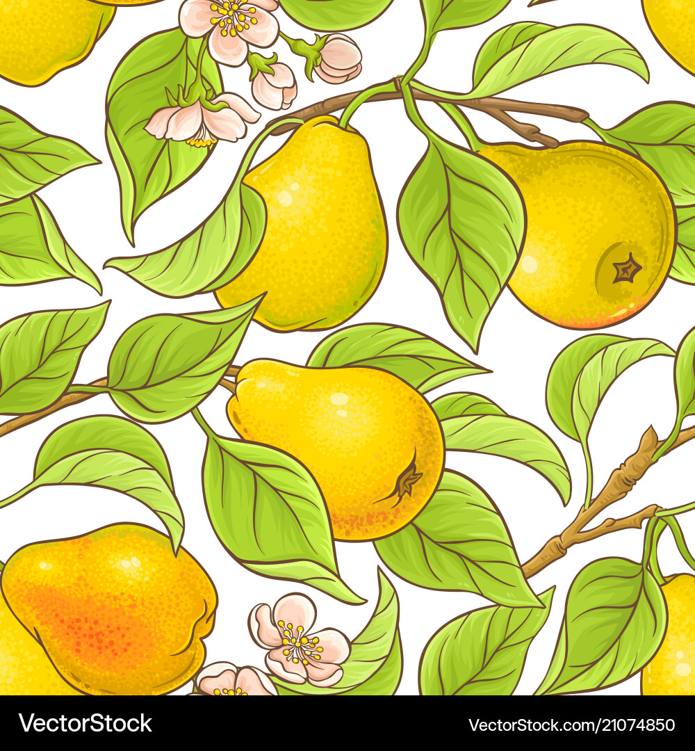Pear pattern Royalty Free Vector Image - VectorStock