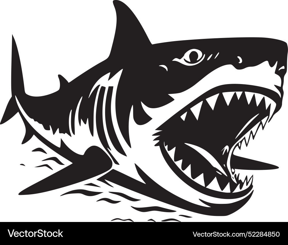 Shark - black and white Royalty Free Vector Image