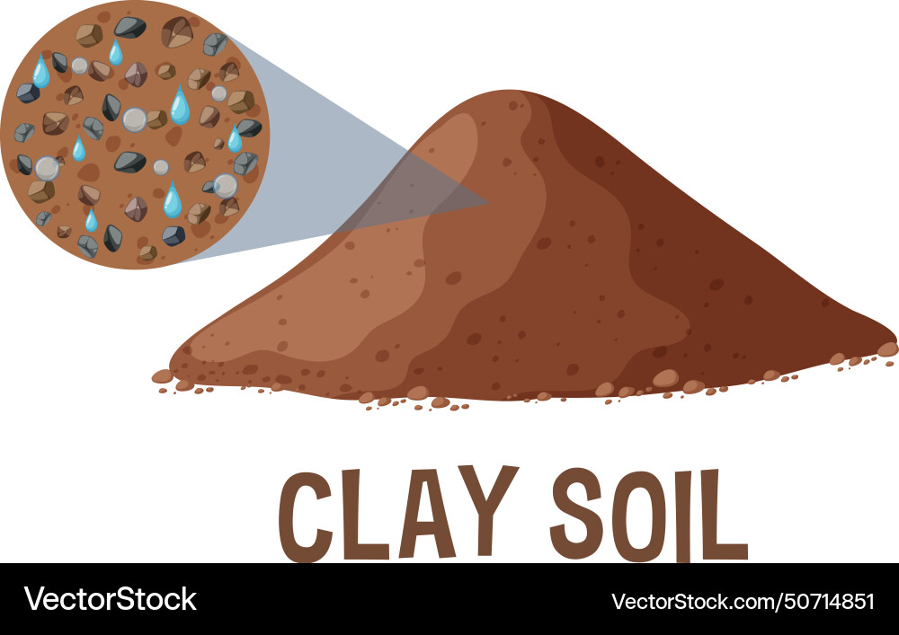 Detailed showing particles in clay soil Royalty Free Vector