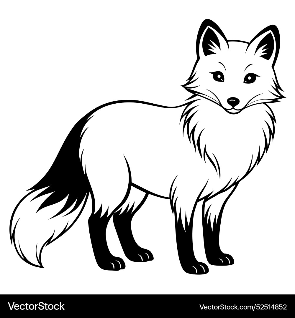 Arctic fox Royalty Free Vector Image - VectorStock