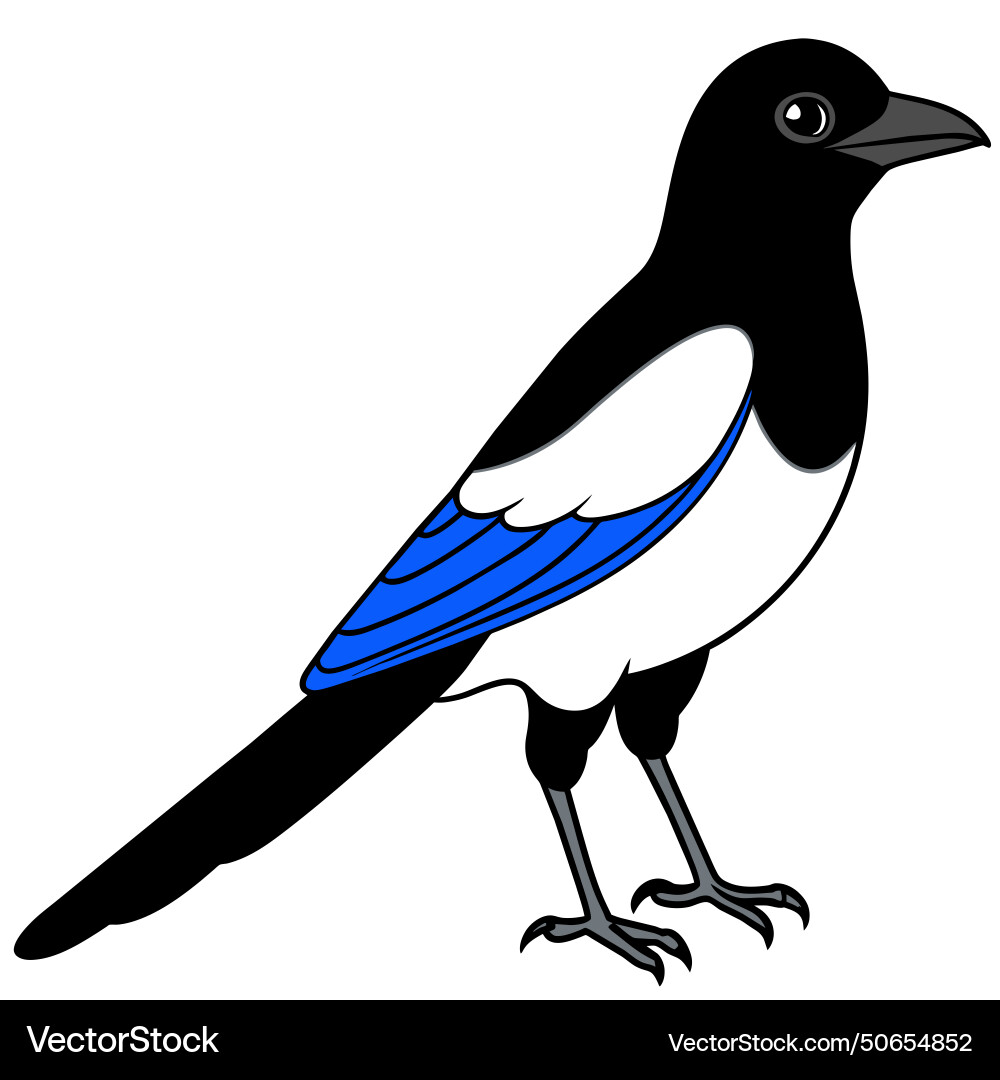 Cute magpie on a clean background silhouette Vector Image