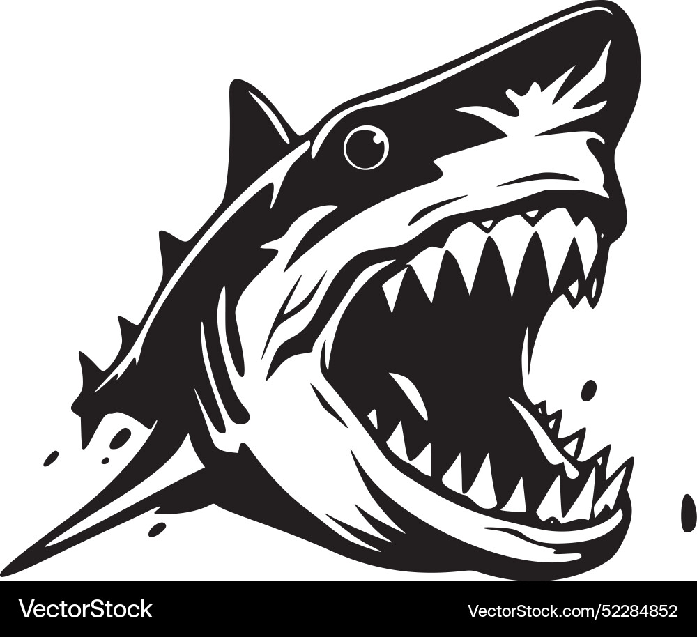 Shark - black and white Royalty Free Vector Image