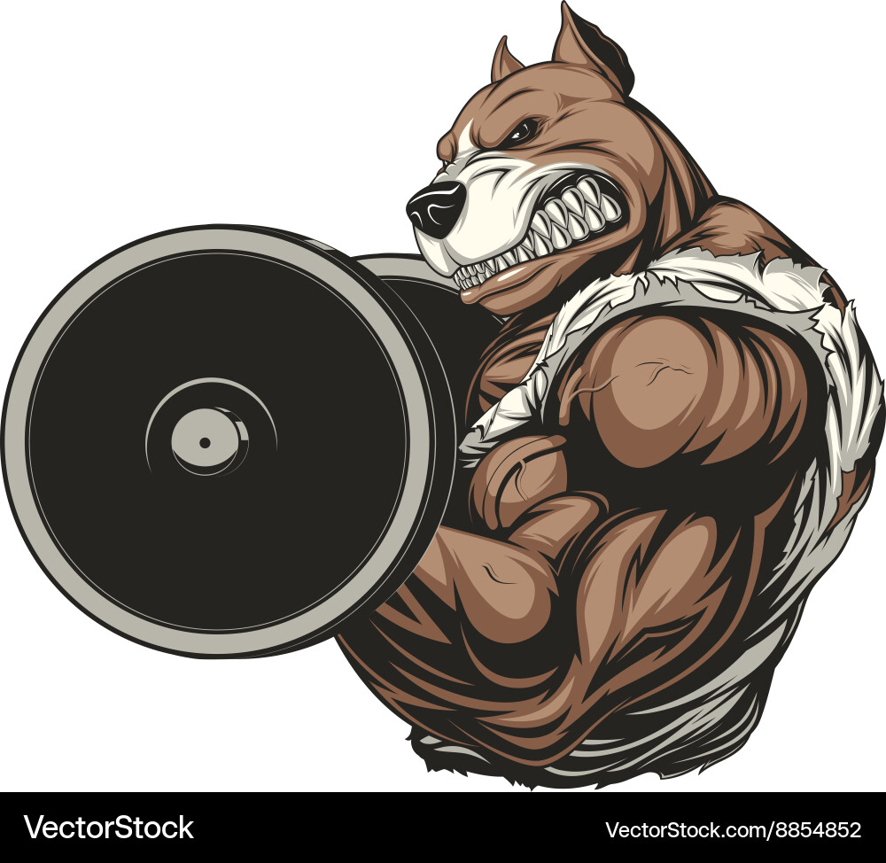 Strong ferocious dog Royalty Free Vector Image