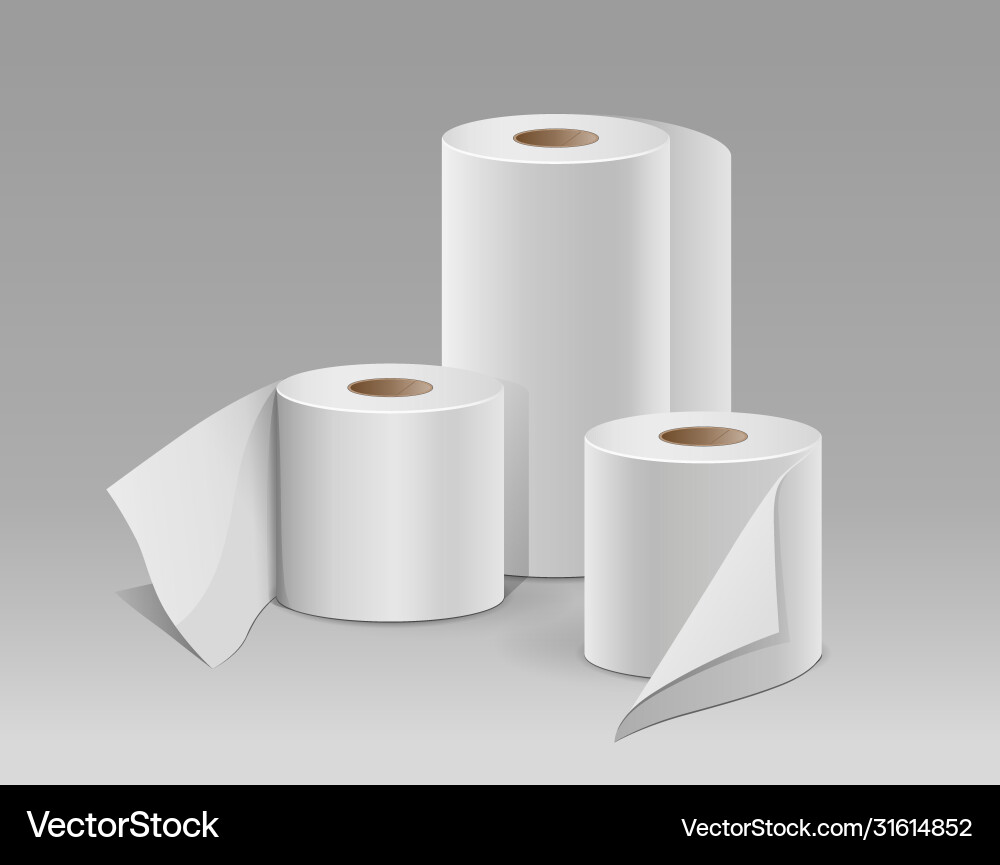 White paper roll three collections design Vector Image