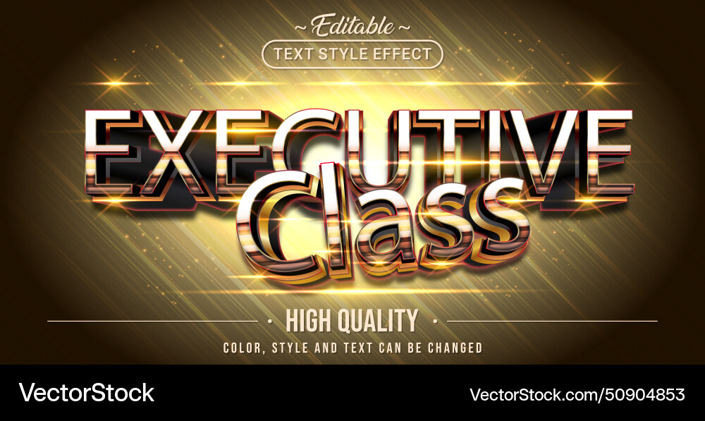 Editable text style effect - executive class Vector Image