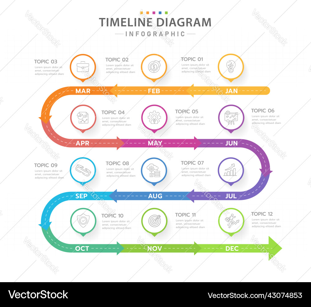 Infographic 12 months timeline calendar with arrow