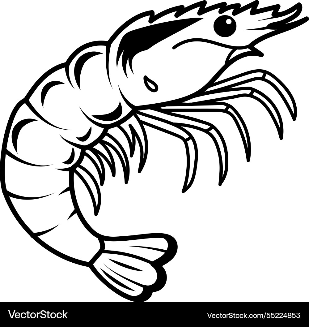 Shrimp Royalty Free Vector Image - VectorStock