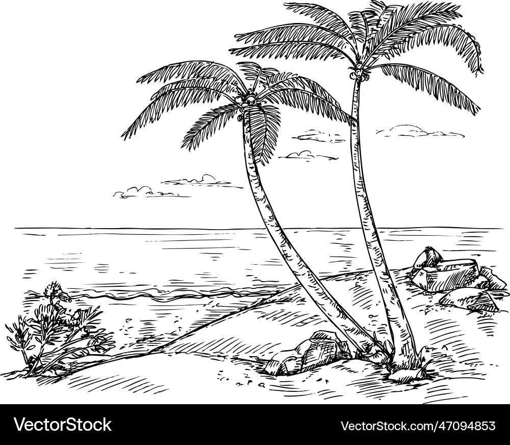 Tropical Palm Tree Landscape Sketch Royalty Free Vector