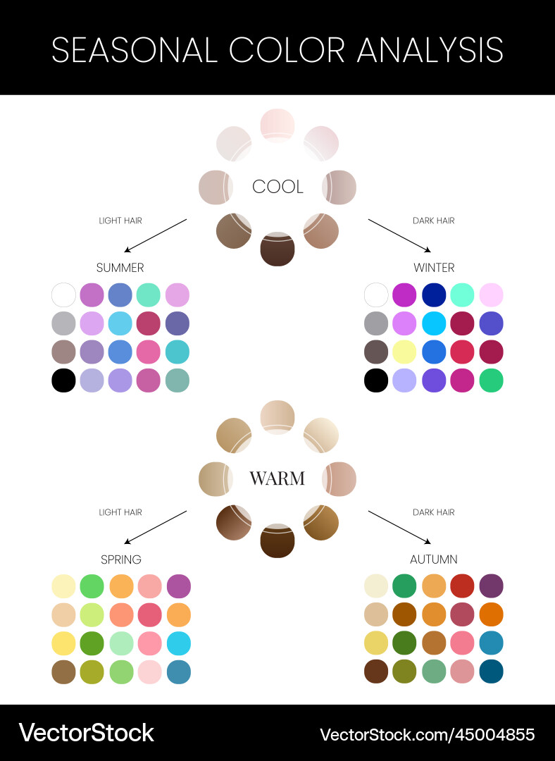 Seasonal skin color analysis chart Royalty Free Vector Image