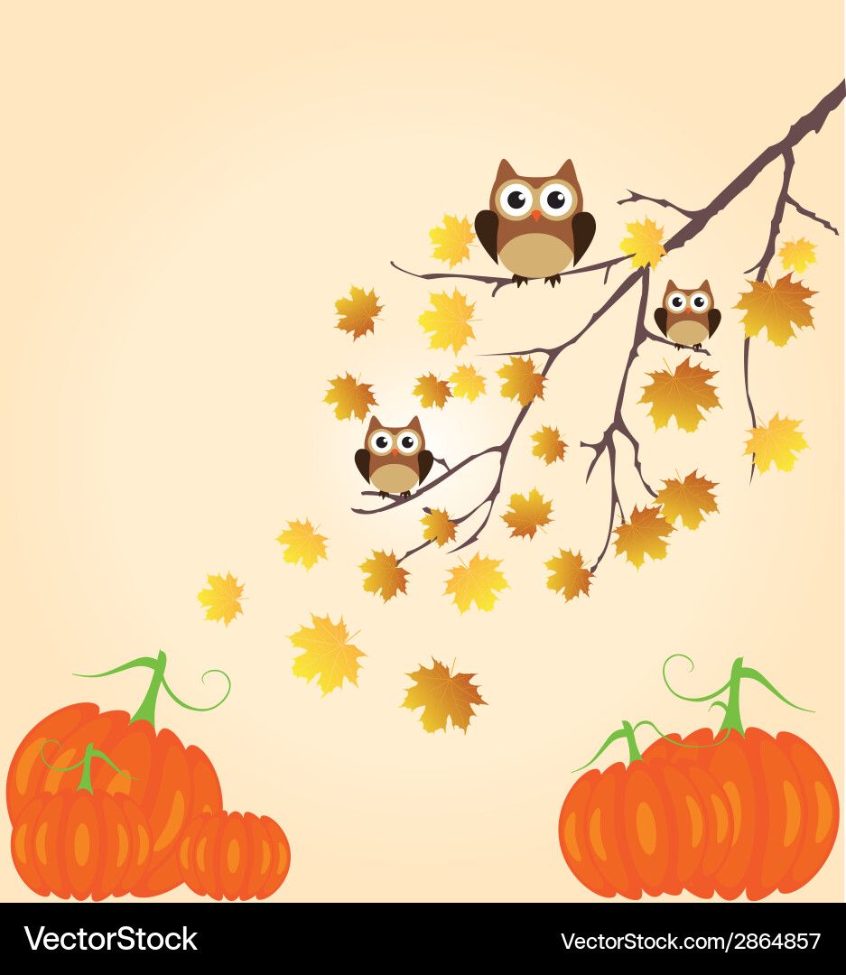 Autumn Owls and Pumpkins Royalty Free Vector Image