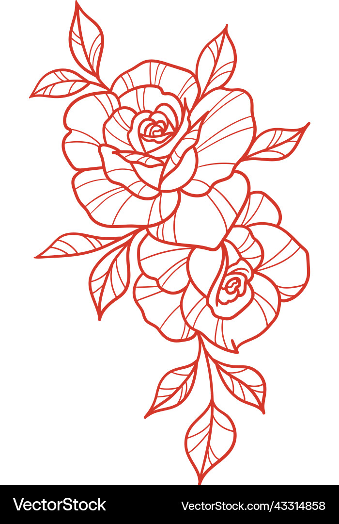 Elegant Red Rose Line Art Royalty Free Vector Image