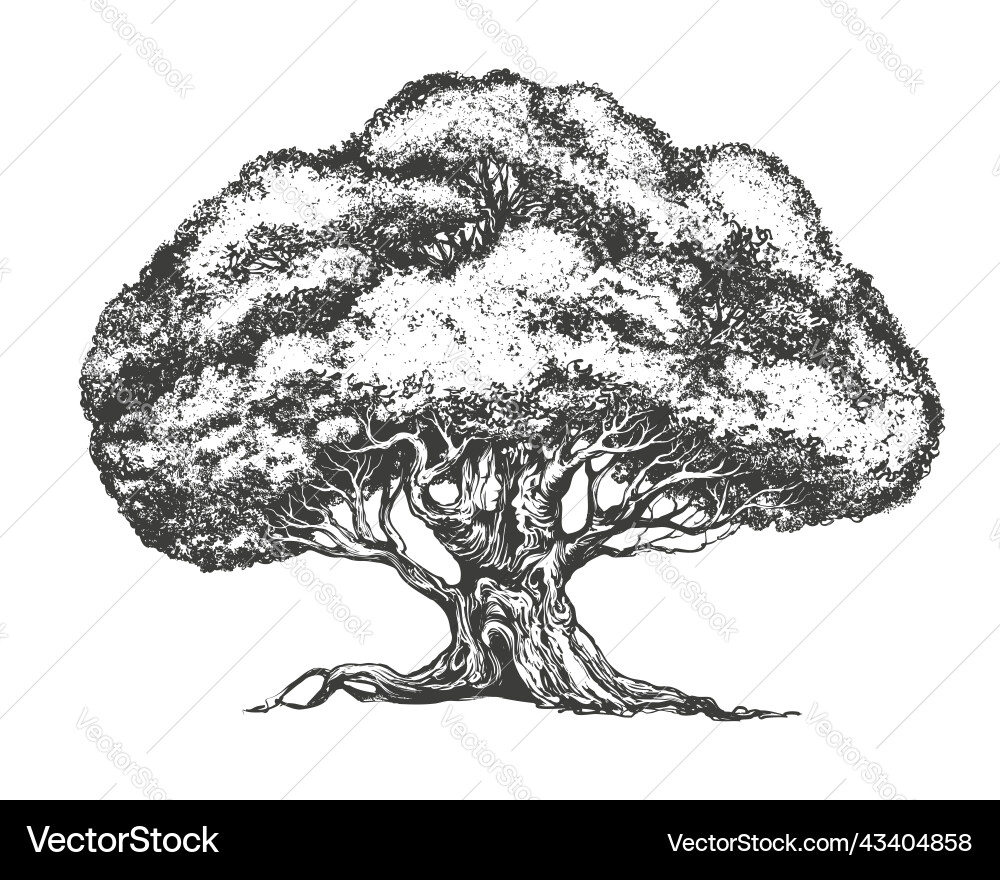 Family tree hand drawn Royalty Free Vector Image
