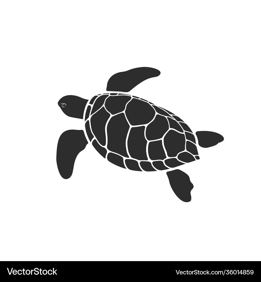 Elegant Sea Turtle Motif Royalty Free Vector Image