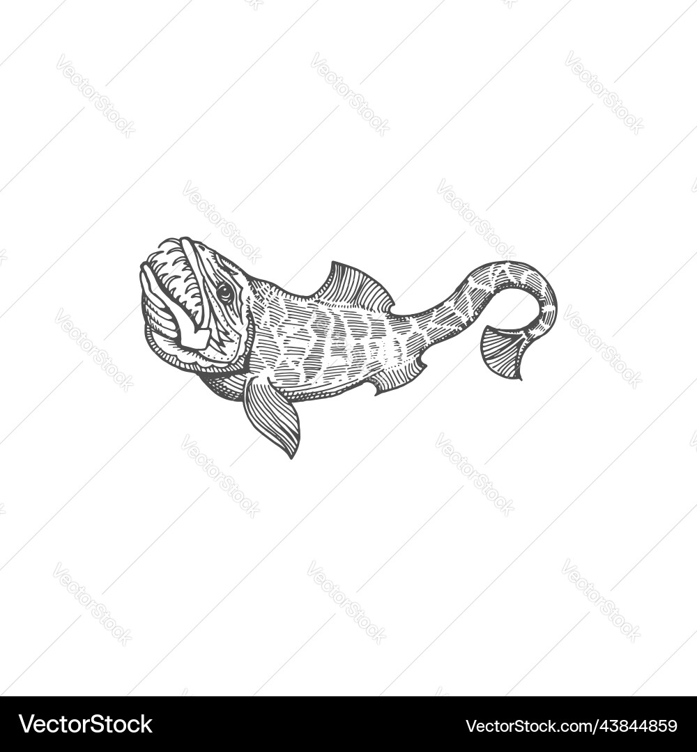 Mythical Monster Fish Grodair Aquatic Monster Pathfinder PFRPG DND