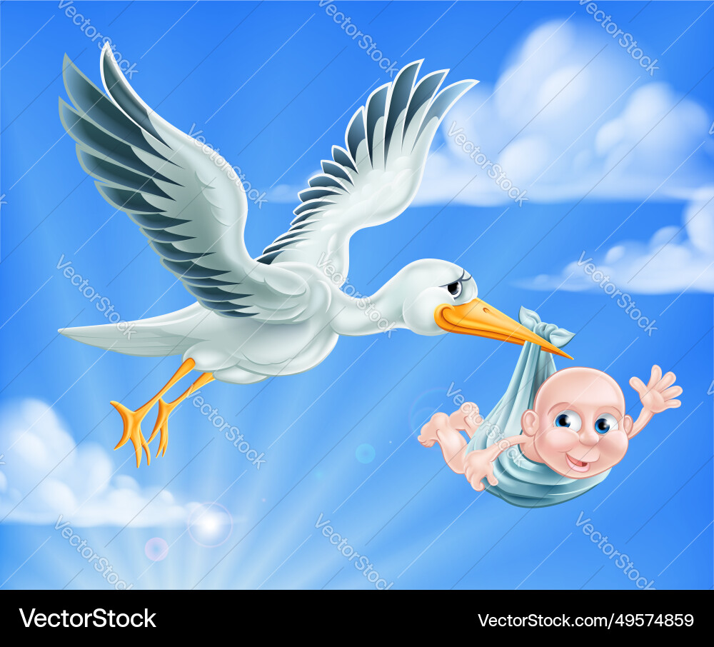 Stork and baby Royalty Free Vector Image - VectorStock