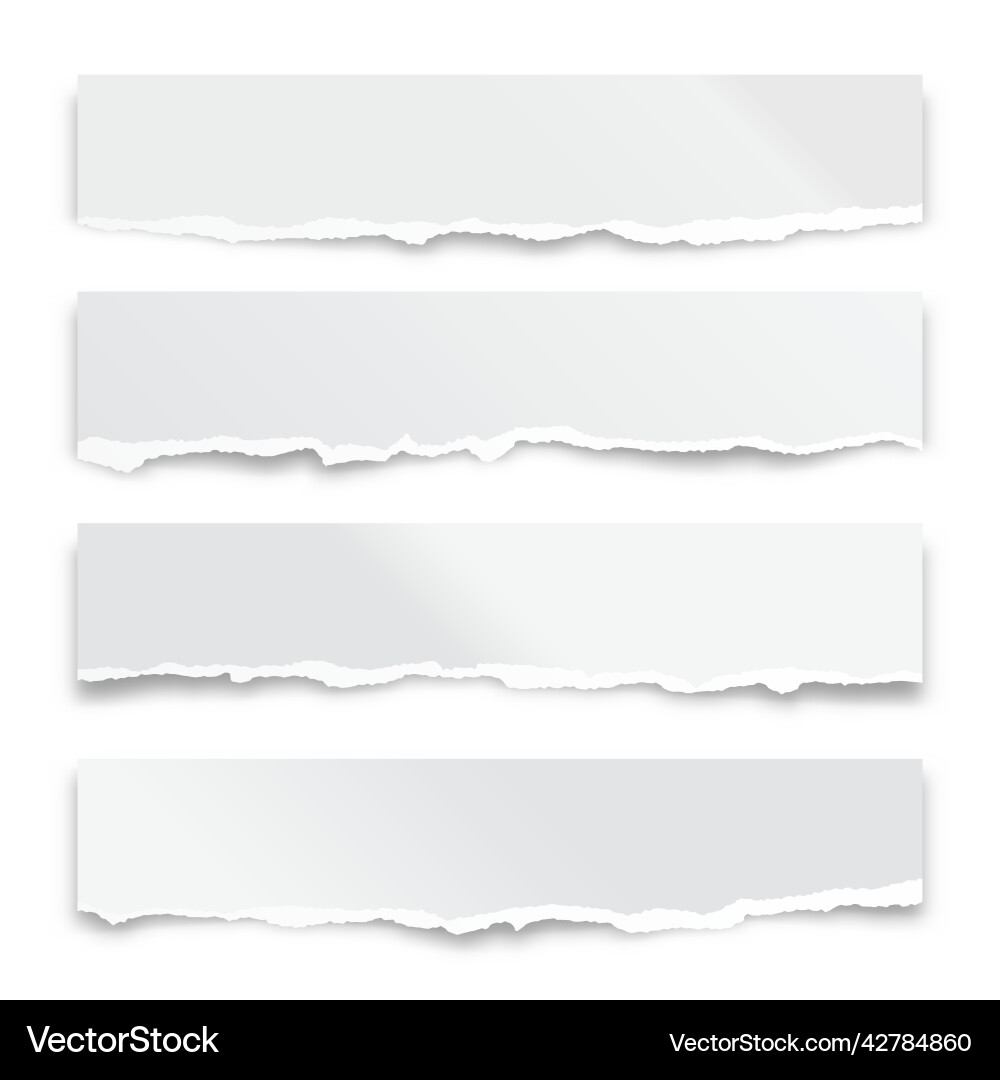 Ripped paper strips isolated on white background Vector Image