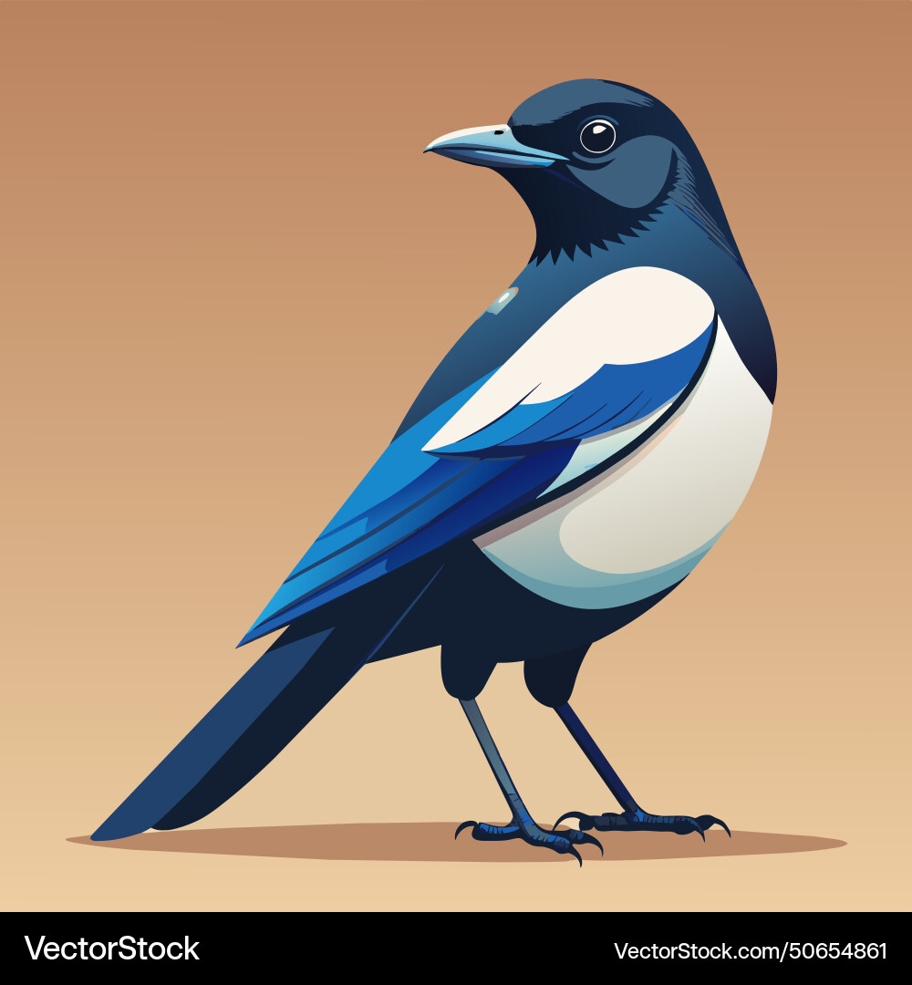 Cute magpie on a clean background silhouette Vector Image