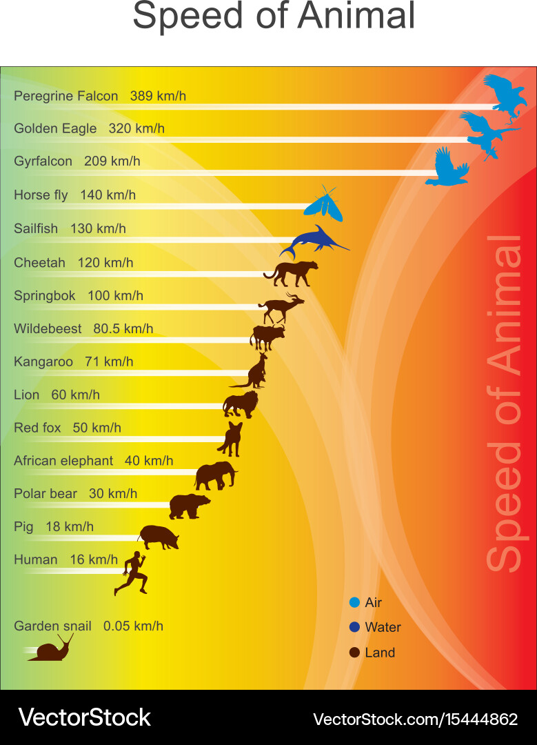 Animal Speed Comparison Royalty Free Vector Image