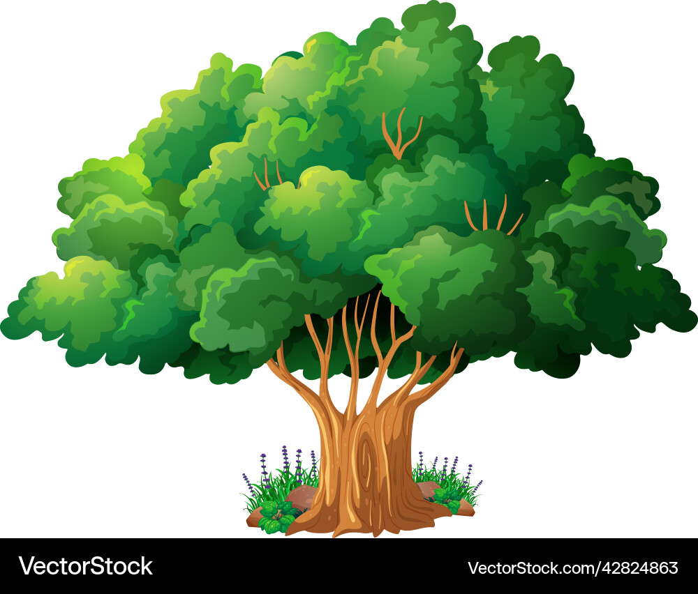 Big tree isolated cartoon Royalty Free Vector Image