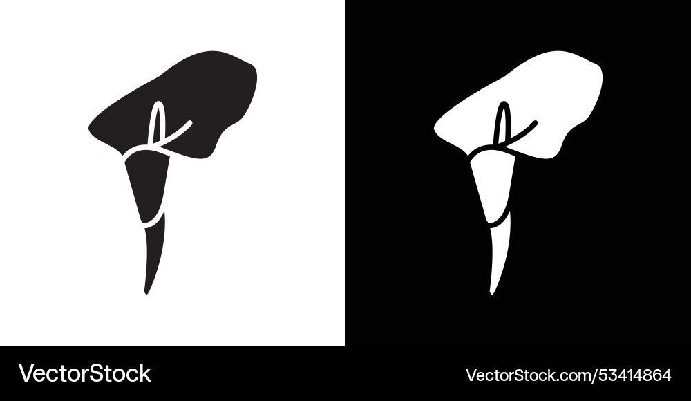 Calla icon flat thin line Royalty Free Vector Image