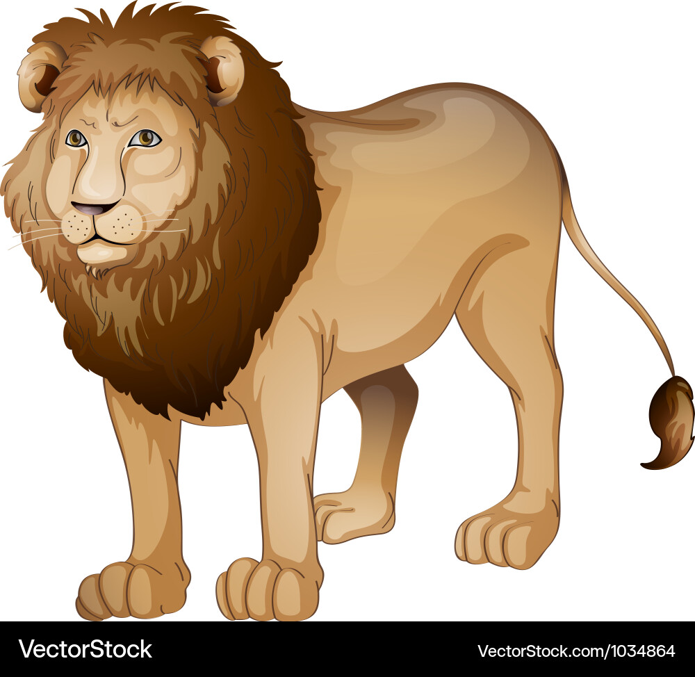 Lion Royalty Free Vector Image - VectorStock
