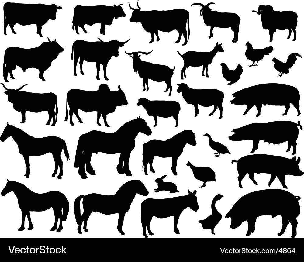 Livestock Vector Images (over 64,000)