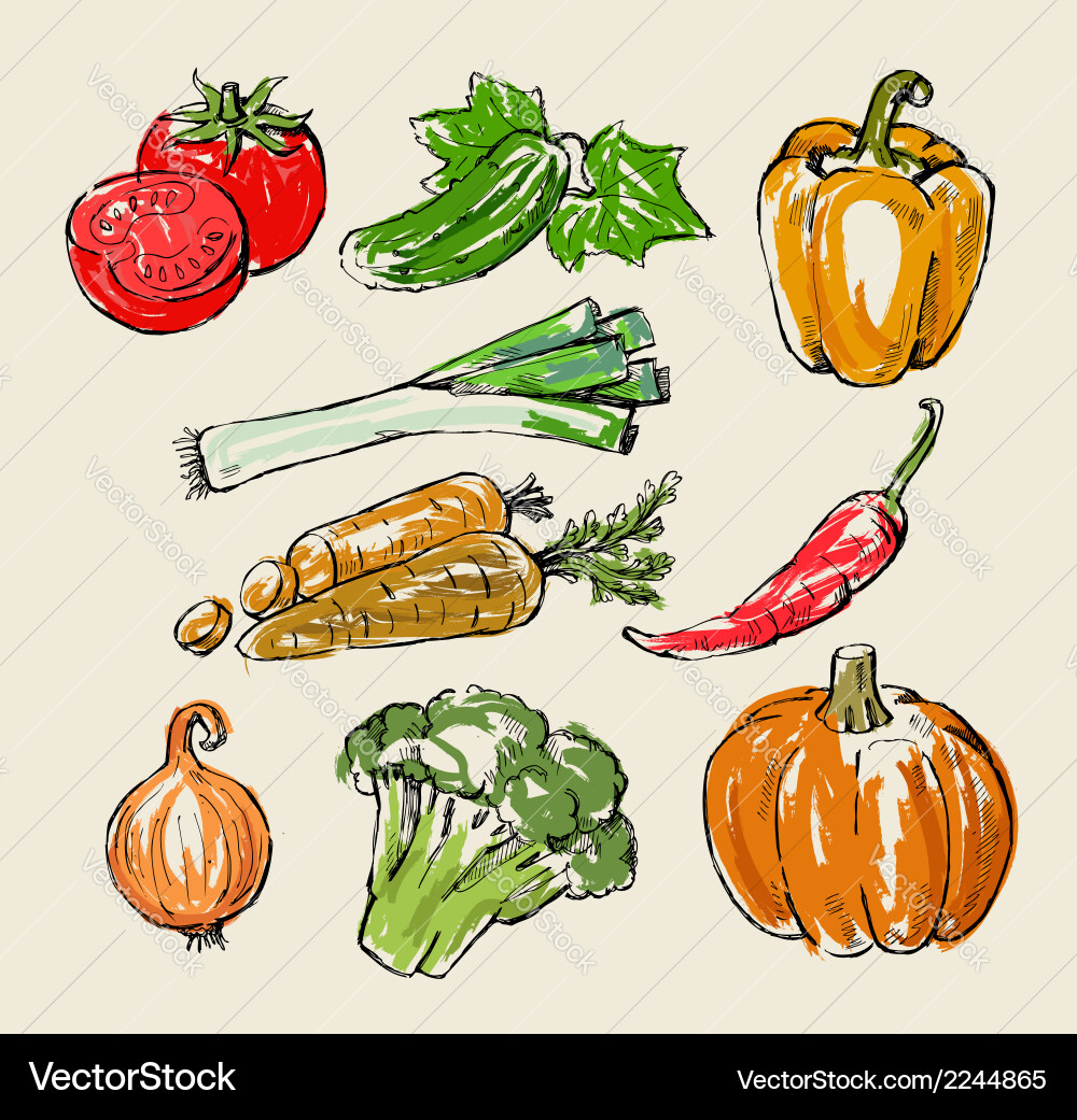 Color vegetables Royalty Free Vector Image - VectorStock