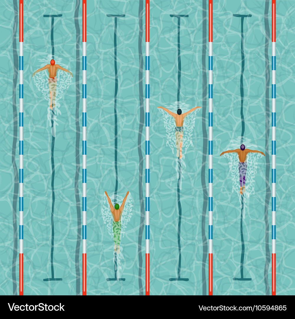 Swimmers in swimming pool Royalty Free Vector Image
