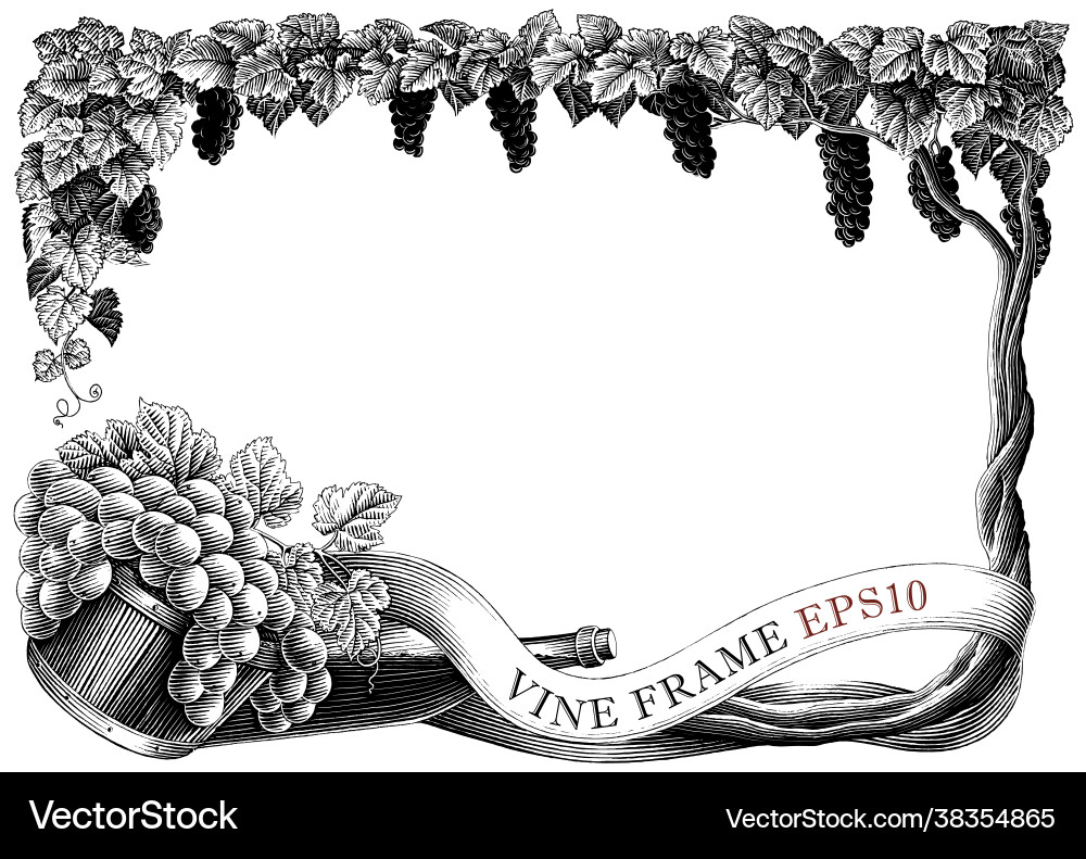 Vine frame hand draw vintage engraving style Vector Image