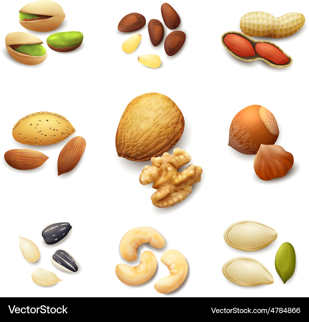 Nuts realistic set Royalty Free Vector Image - VectorStock