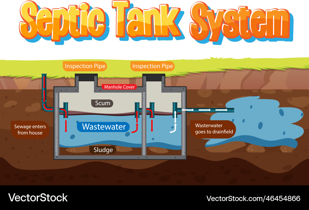 Septic tank system diagram Royalty Free Vector Image