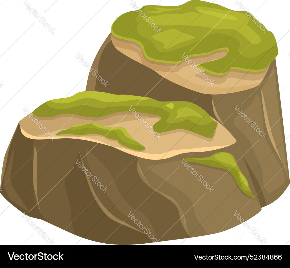 Two large rocks are covered with green moss Vector Image