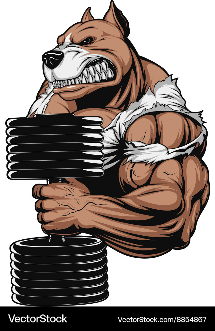 Strong ferocious dog Royalty Free Vector Image