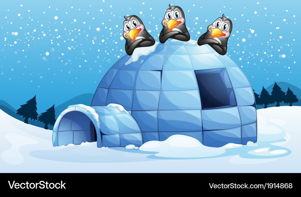 Three penguins above the igloo Royalty Free Vector Image