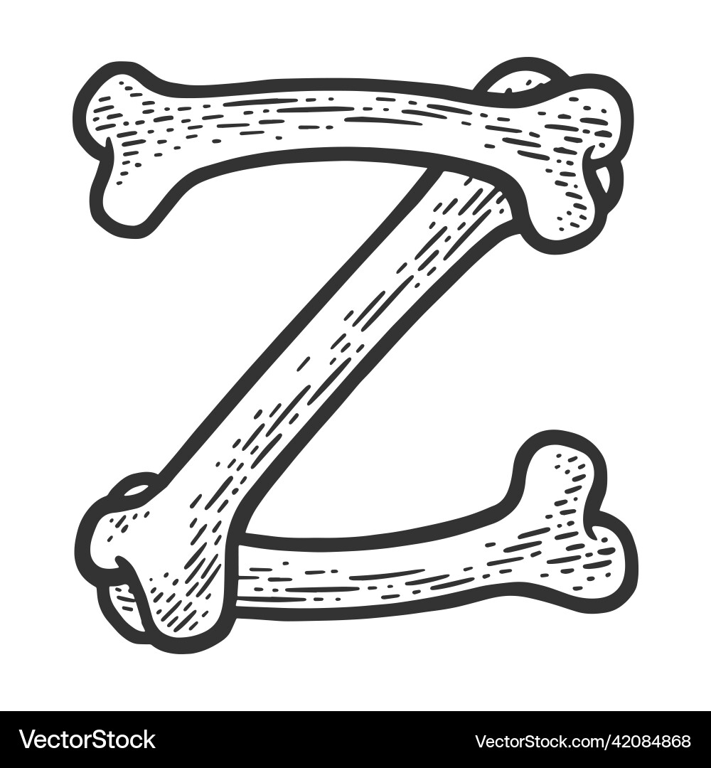 Z Bone Sketch - Anatomical Letter Royalty Free Vector Image
