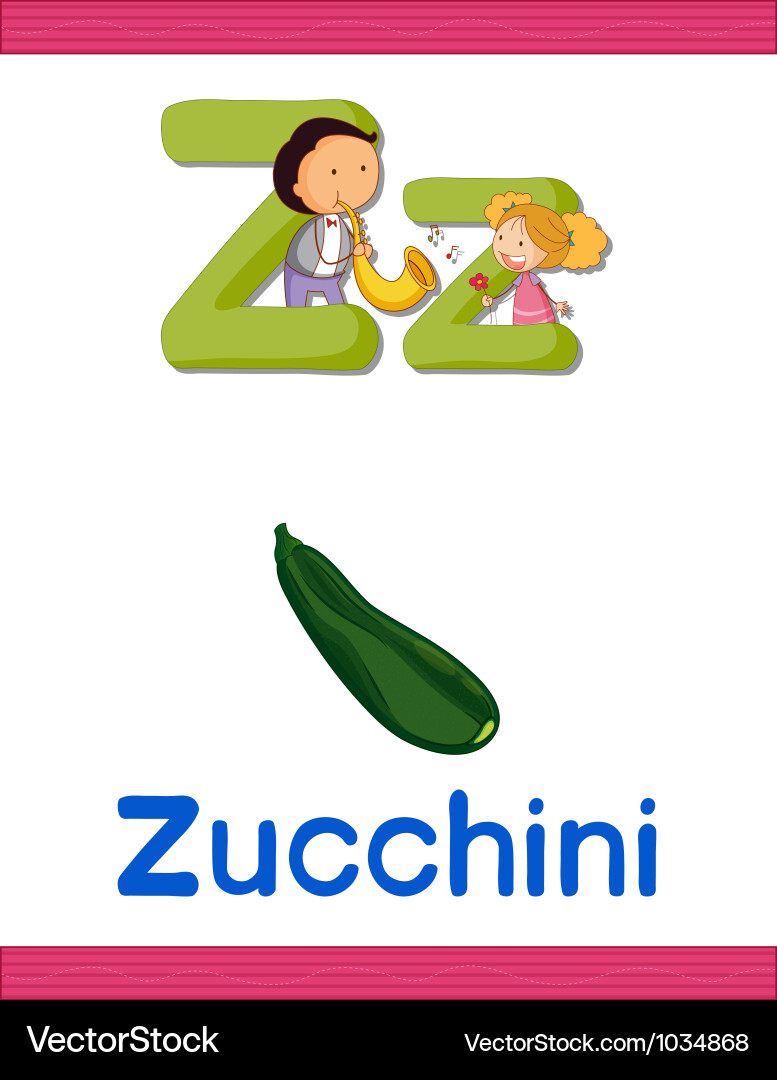 Zucchini Royalty Free Vector Image - VectorStock