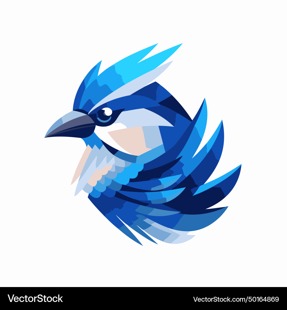Blue Jay Wings Vector Images (over 300)