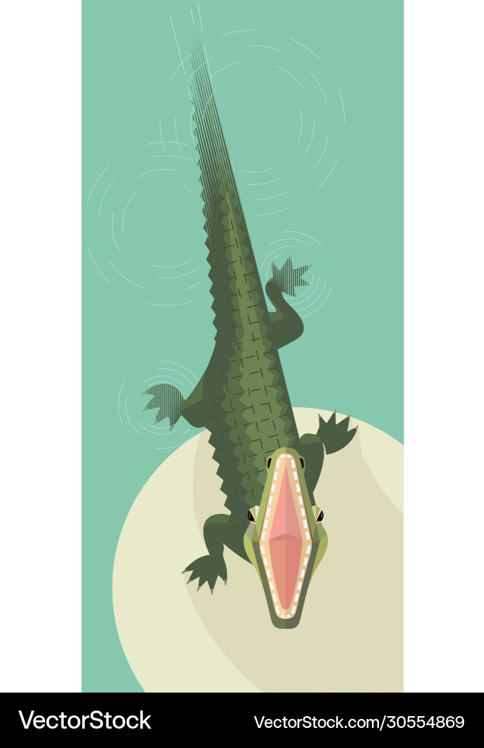 Crocodile Royalty Free Vector Image - VectorStock