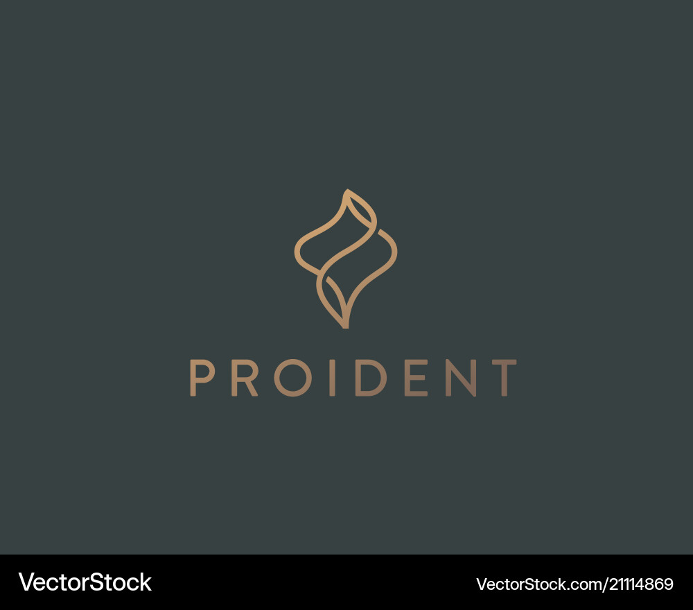 Elegant Linear Flow Logo Royalty Free Vector Image