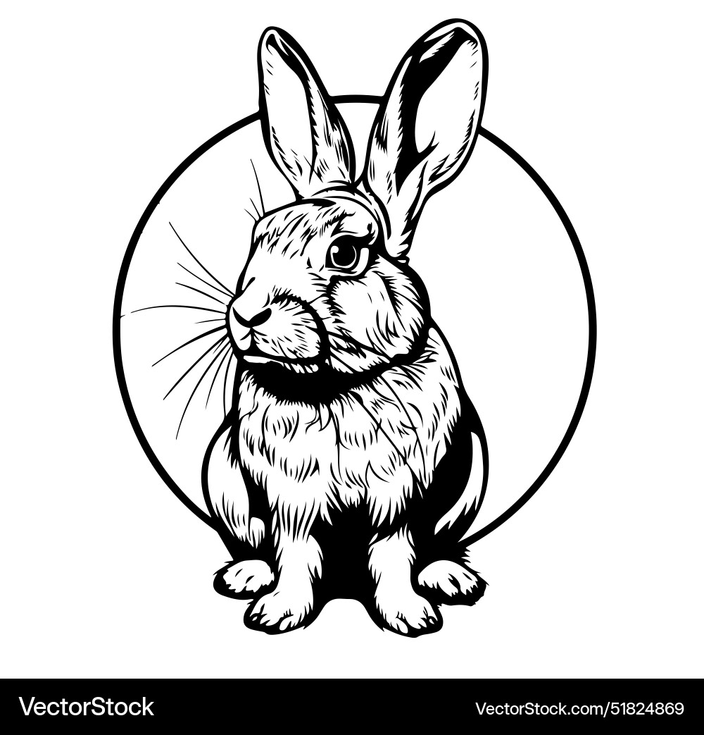 Rabbit sketch hand drawn Royalty Free Vector Image